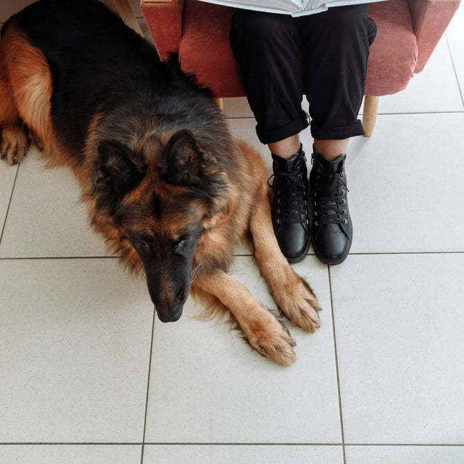 Heavy Duty Fire Proof External Fibre Cement Floor Sheet Tongue and ...