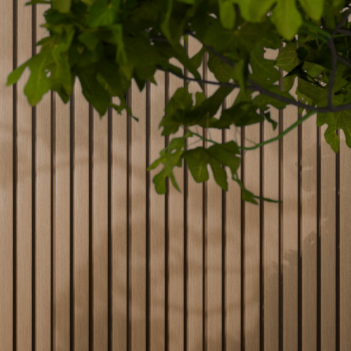 Timber Feature Panels external composite Wall Cladding – Vendome Living